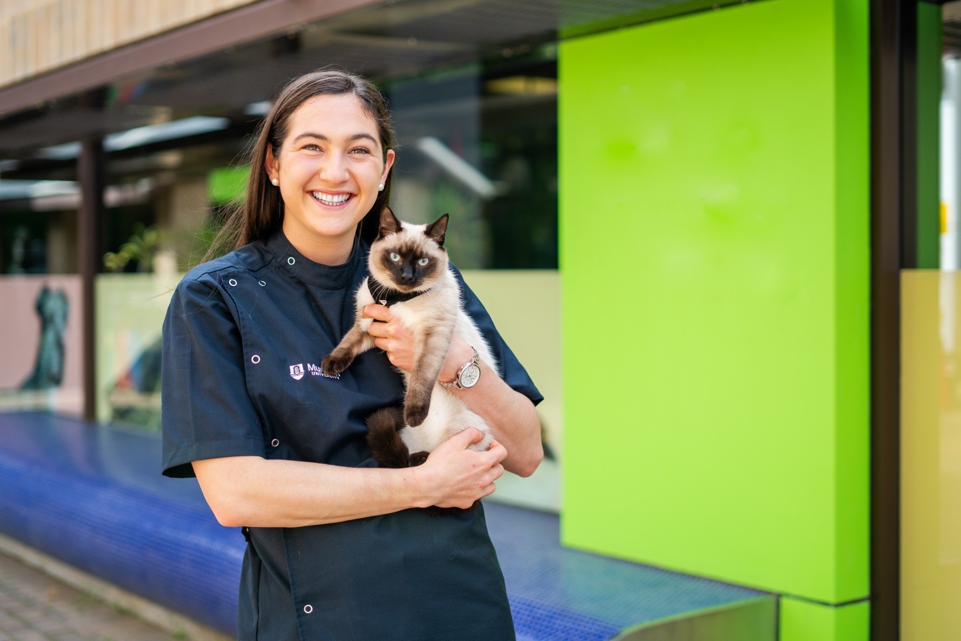 Spotlight: Wolf Veterinary Services - Wandsworth Town